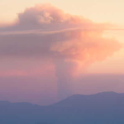 Wildfire Canvas Print Collection - Rob Mutch Ecosystem Photo